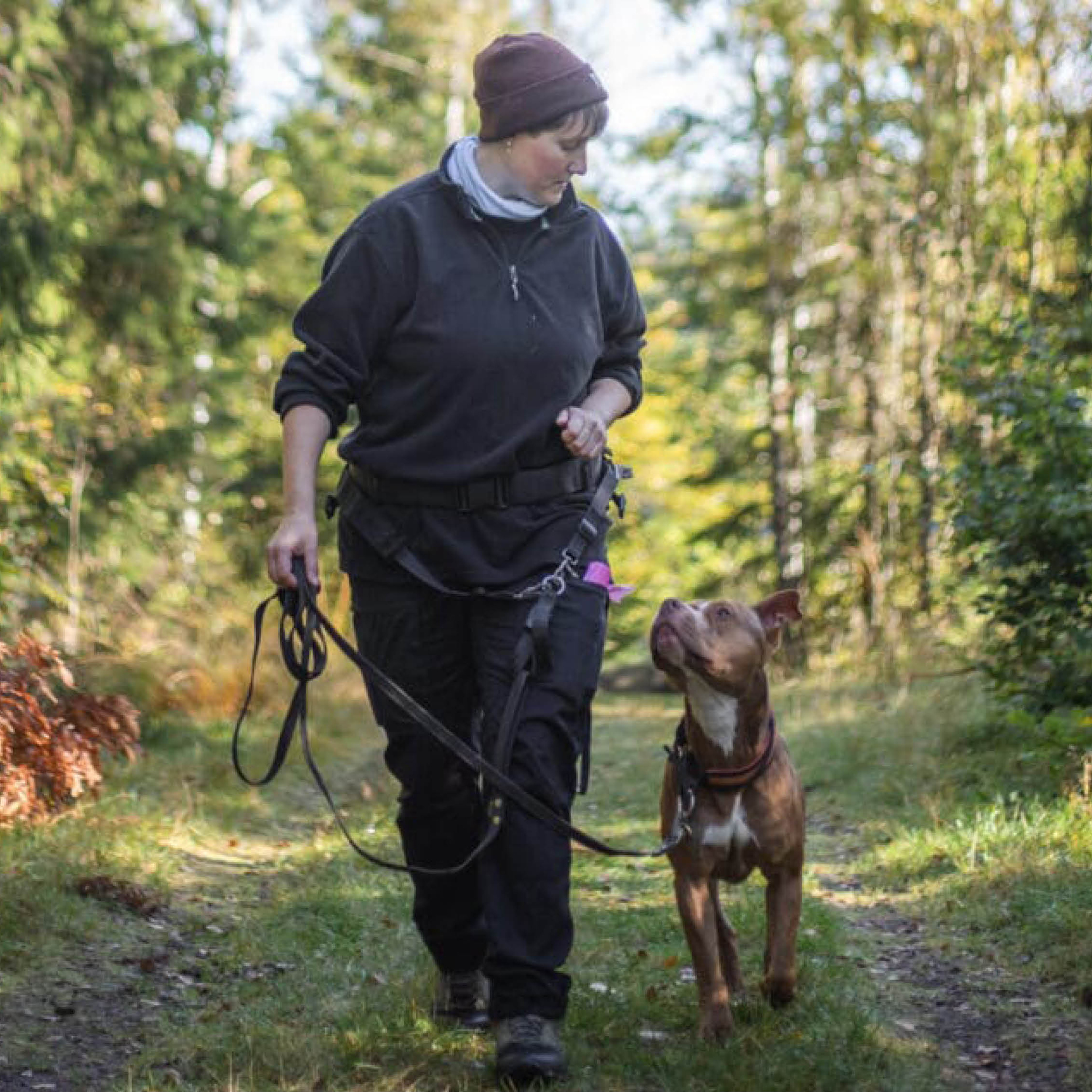 Företagssamarbeten som gör skillnad för våra hundar | Hundstallet